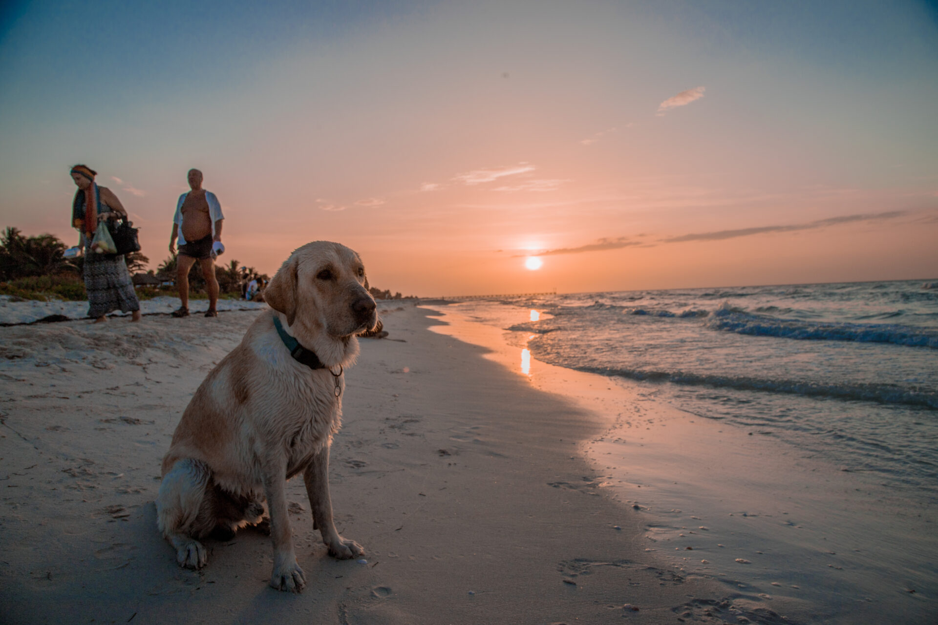 Playas de la costa Yucateca, un tesoro por descubrir - Turismo a Fondo