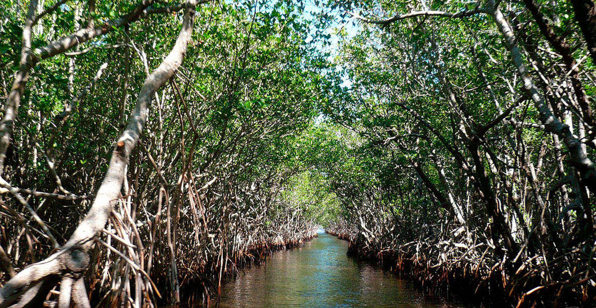 La laguna de Mandinga, una parada imperdible - Turismo a Fondo