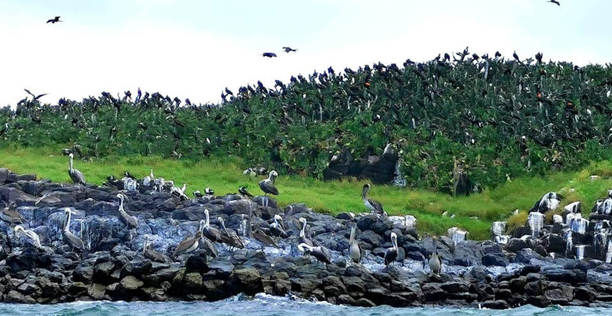 Las Islas veracruzanas más bonitas que debes visitar - Turismo a Fondo