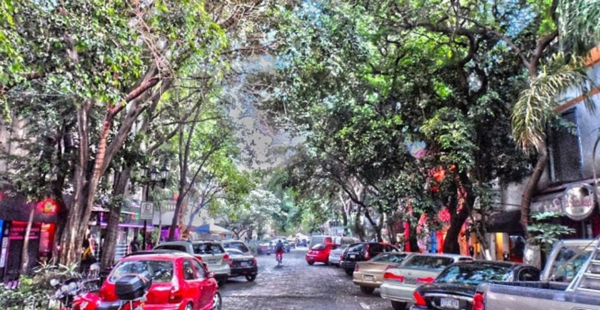 Anuncian corredor turístico verde en la Zona Rosa de la CDMX - Turismo ...