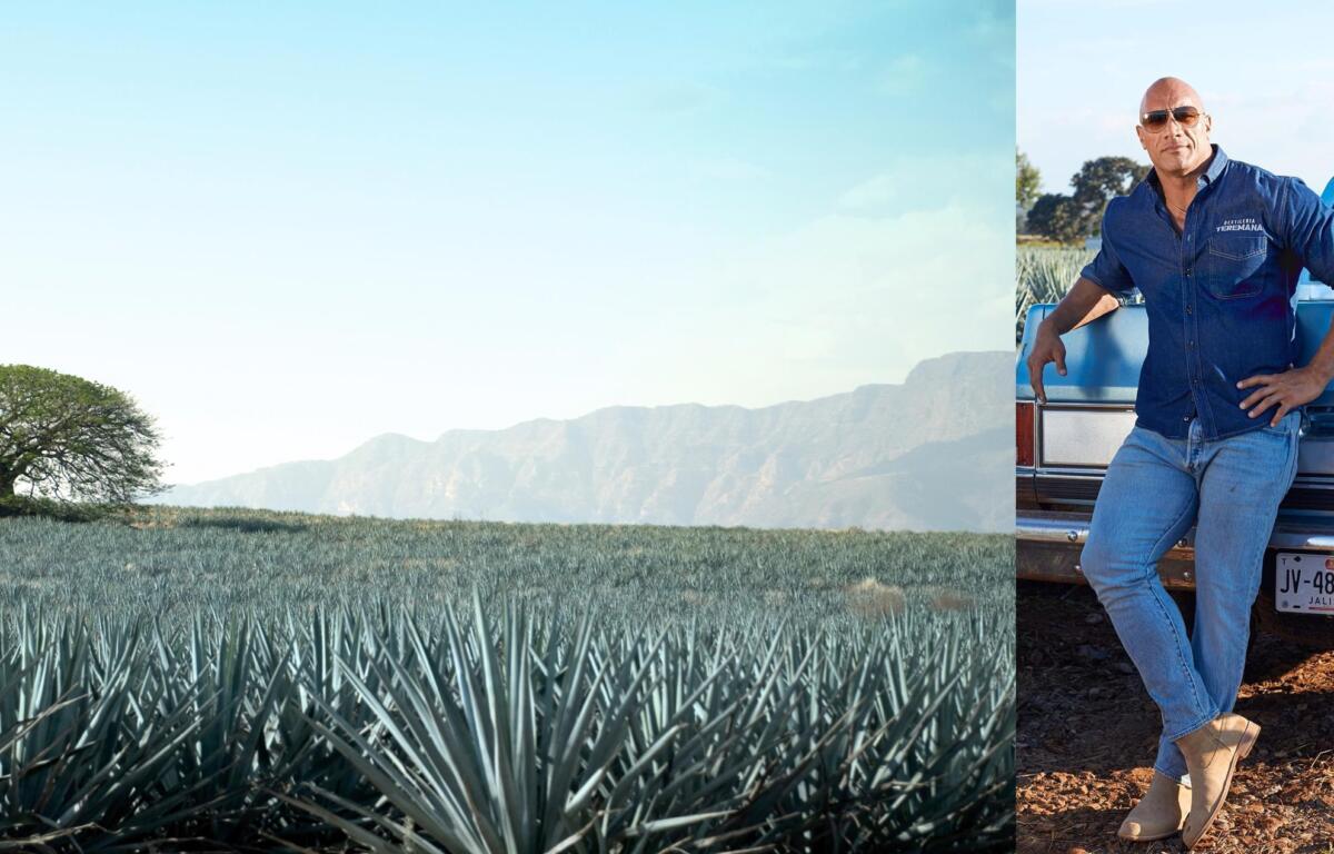 ‘La Roca’ visita Jalisco para expandir la producción de su Tequila ...