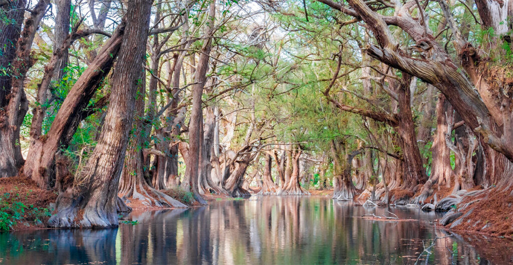 Camécuaro, un lugar mágico y con una gran leyenda - Turismo a Fondo