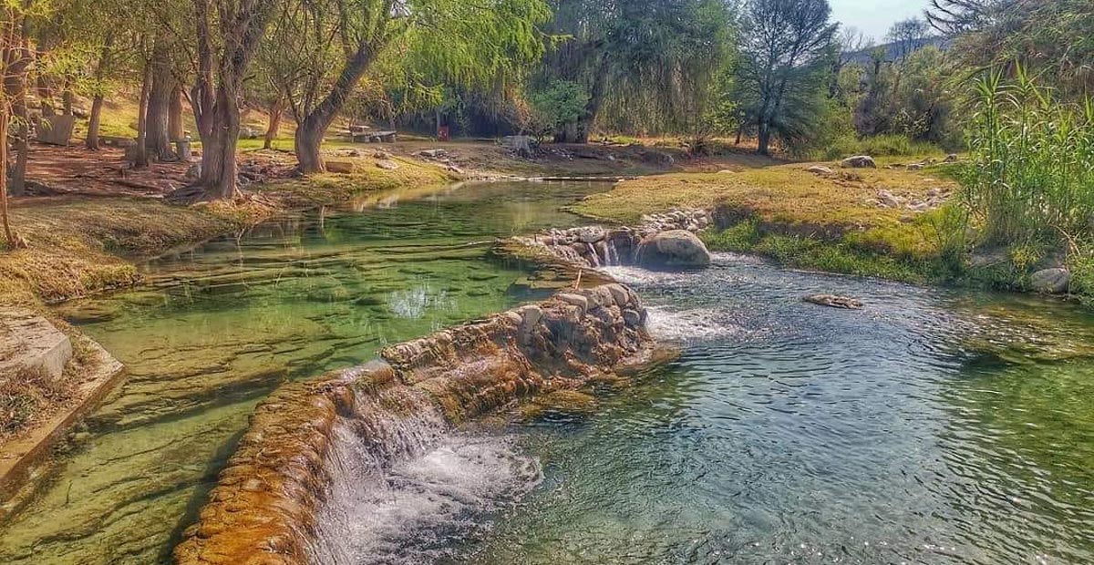Conoce los Ahuehuetes, un manantial cristalino rodeado de árboles ...