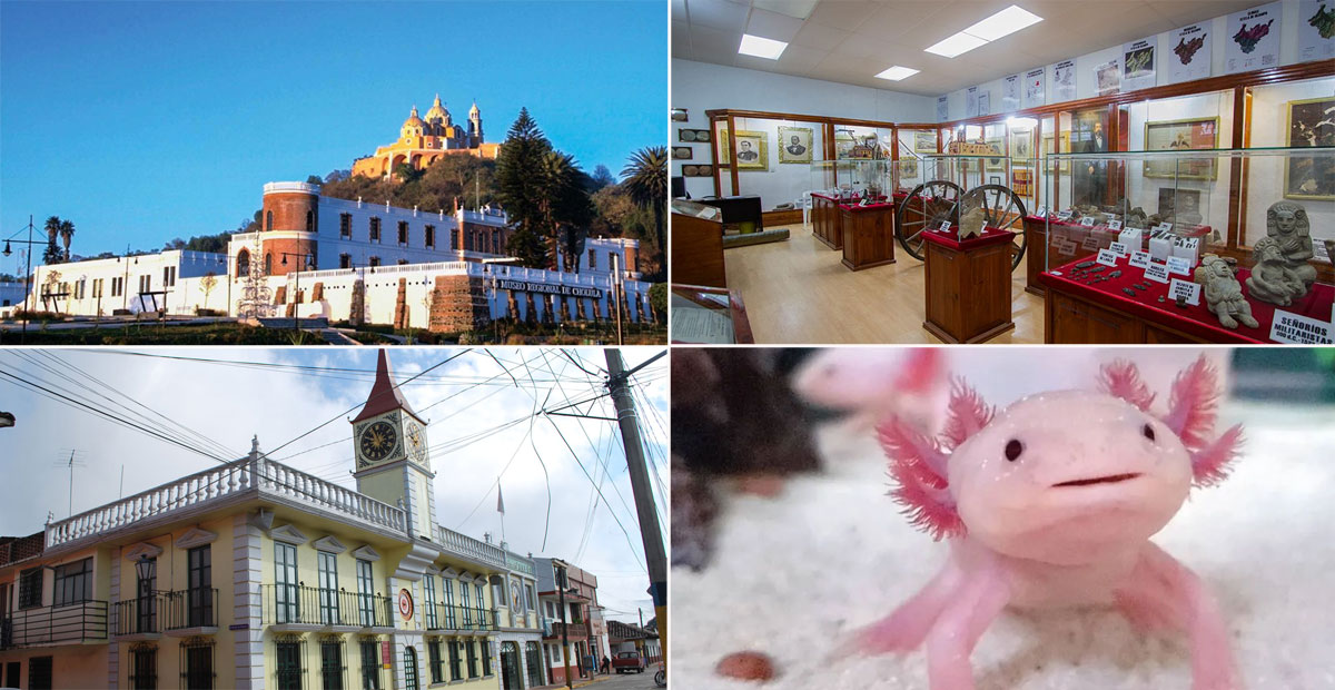 Cinco museos imperdibles en Puebla - Turismo a Fondo