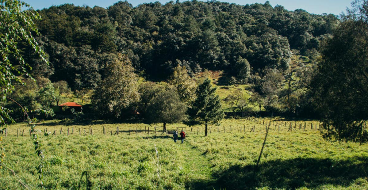 Visita el Bosque en Parador Ojo de Agua, Querétaro - Turismo a Fondo