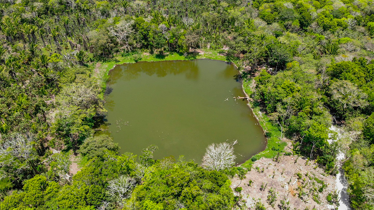 Ichkabal: la joya arqueológica maya que emerge en Quintana Roo ...
