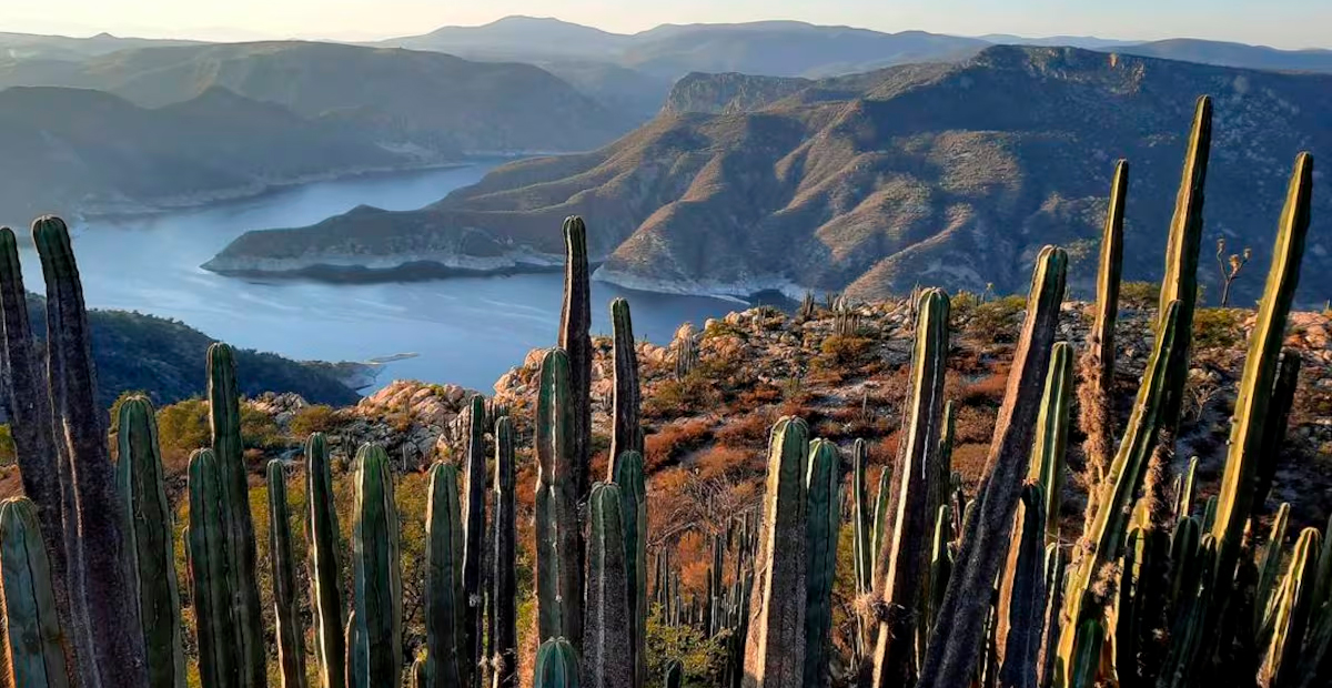 Cadereyta de Montes, el corazón del semidesierto queretano