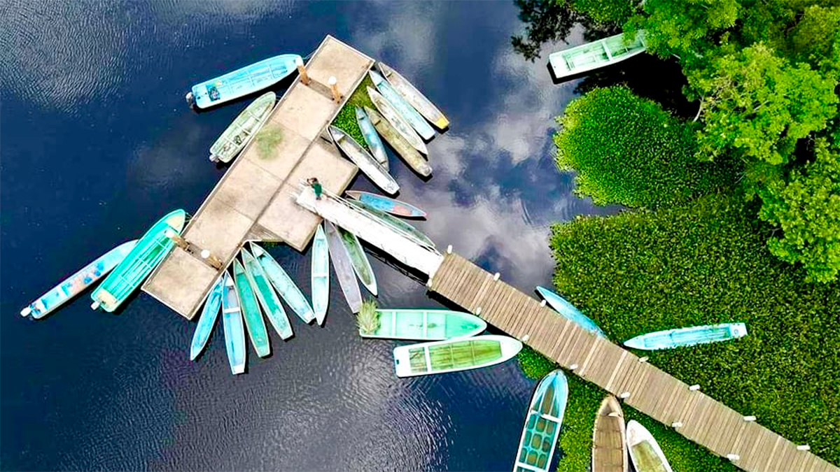 Pantanos de Centla: El corazón acuático y salvaje de Tabasco