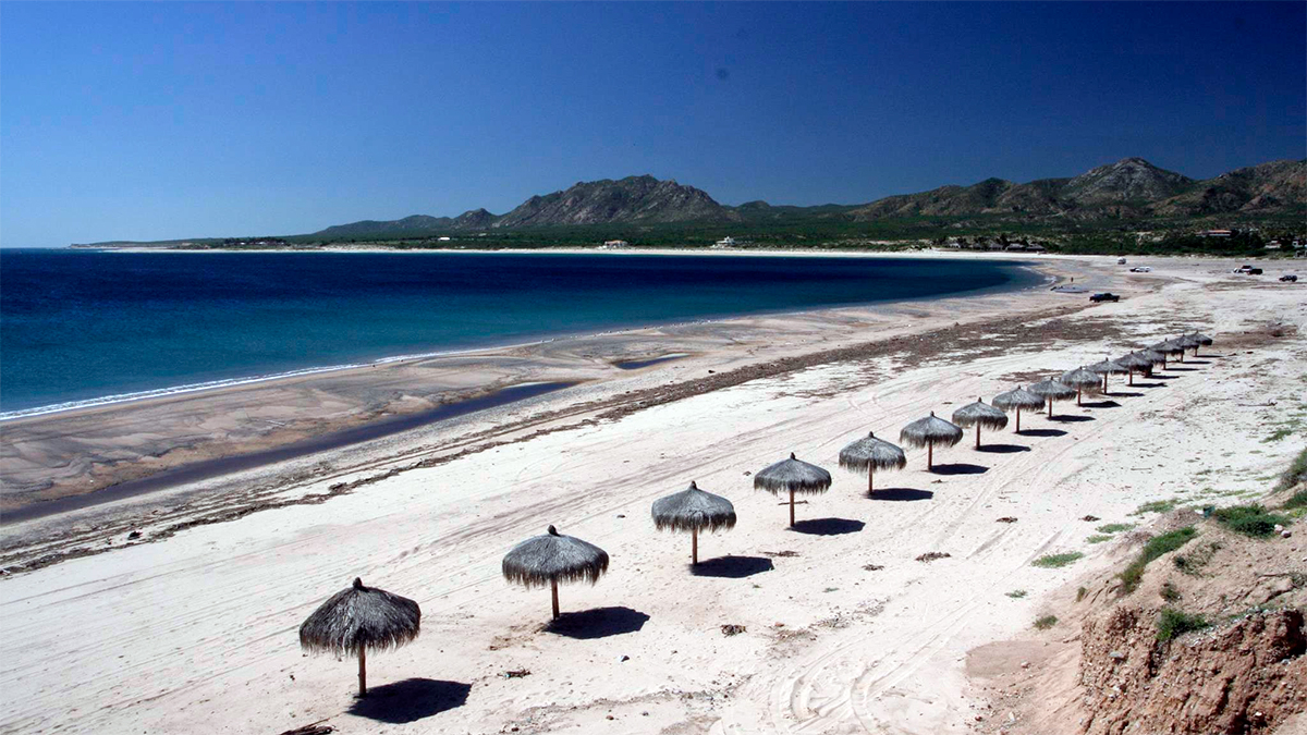 Cabo Pulmo: El paraíso marino de México que protege el arrecife de ...